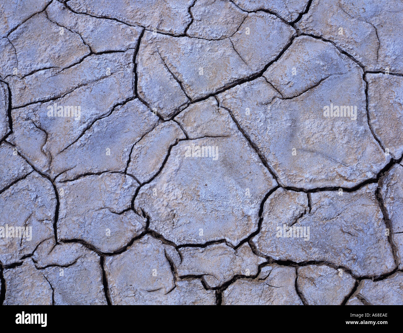 Dry ground in Sahara tunisia Stock Photo - Alamy
