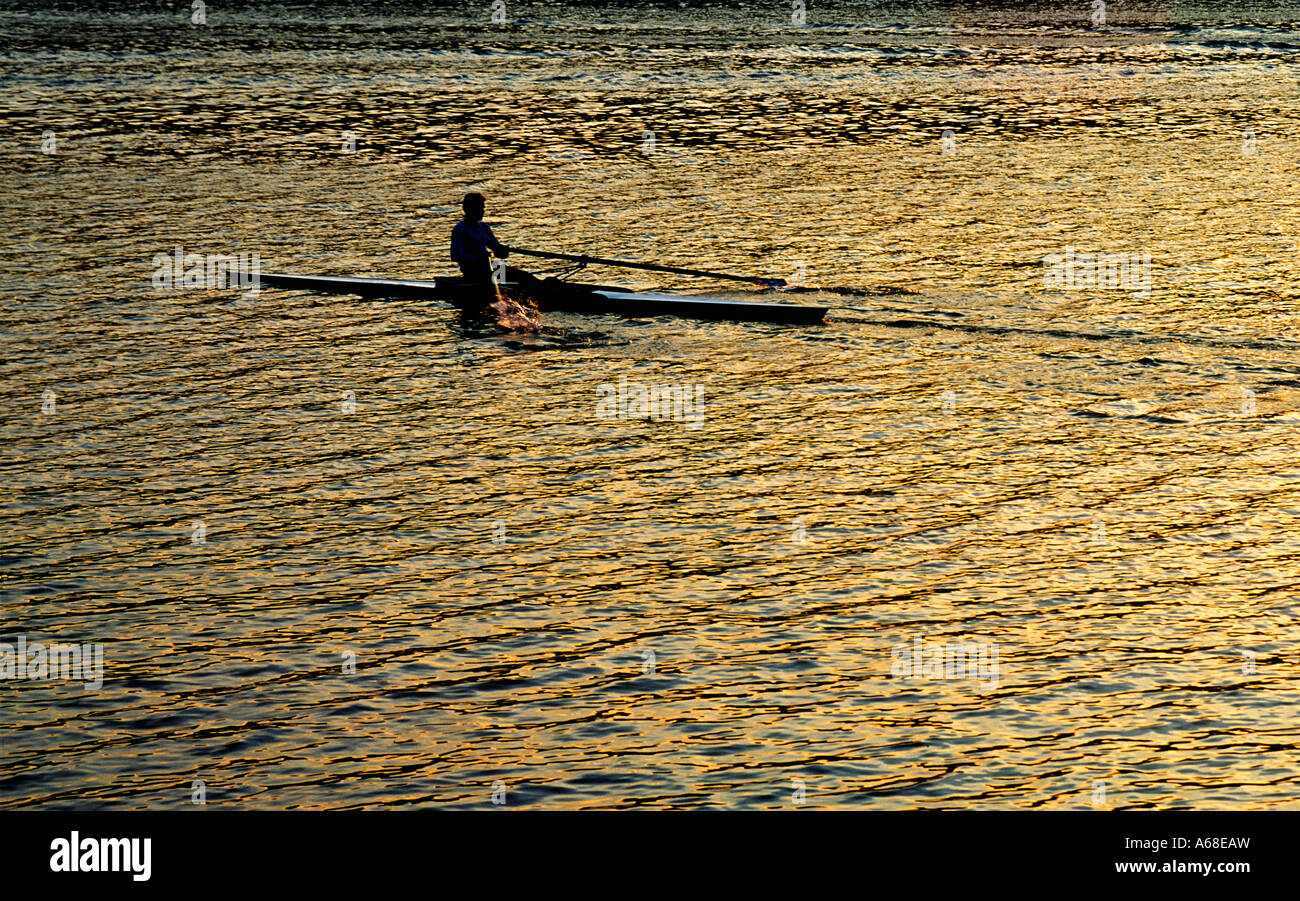 The rowing hi-res stock photography and images - Alamy