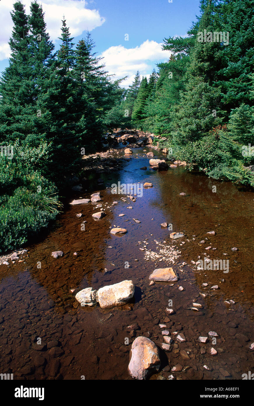 Woods of maine hi-res stock photography and images - Alamy