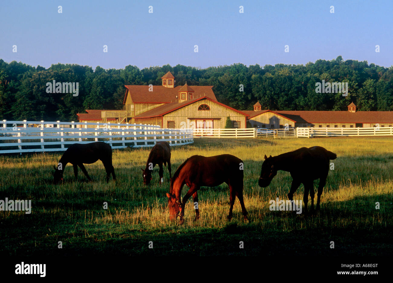 New jersey countryside hi-res stock photography and images - Alamy