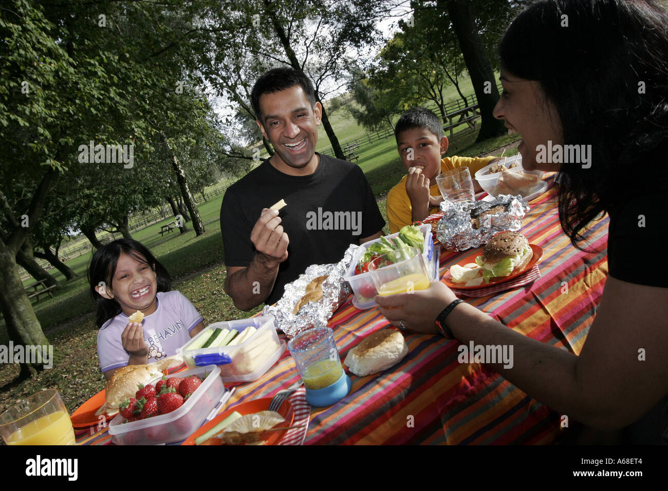 Asian family having a picnic in the countryside Stock Photo - Alamy