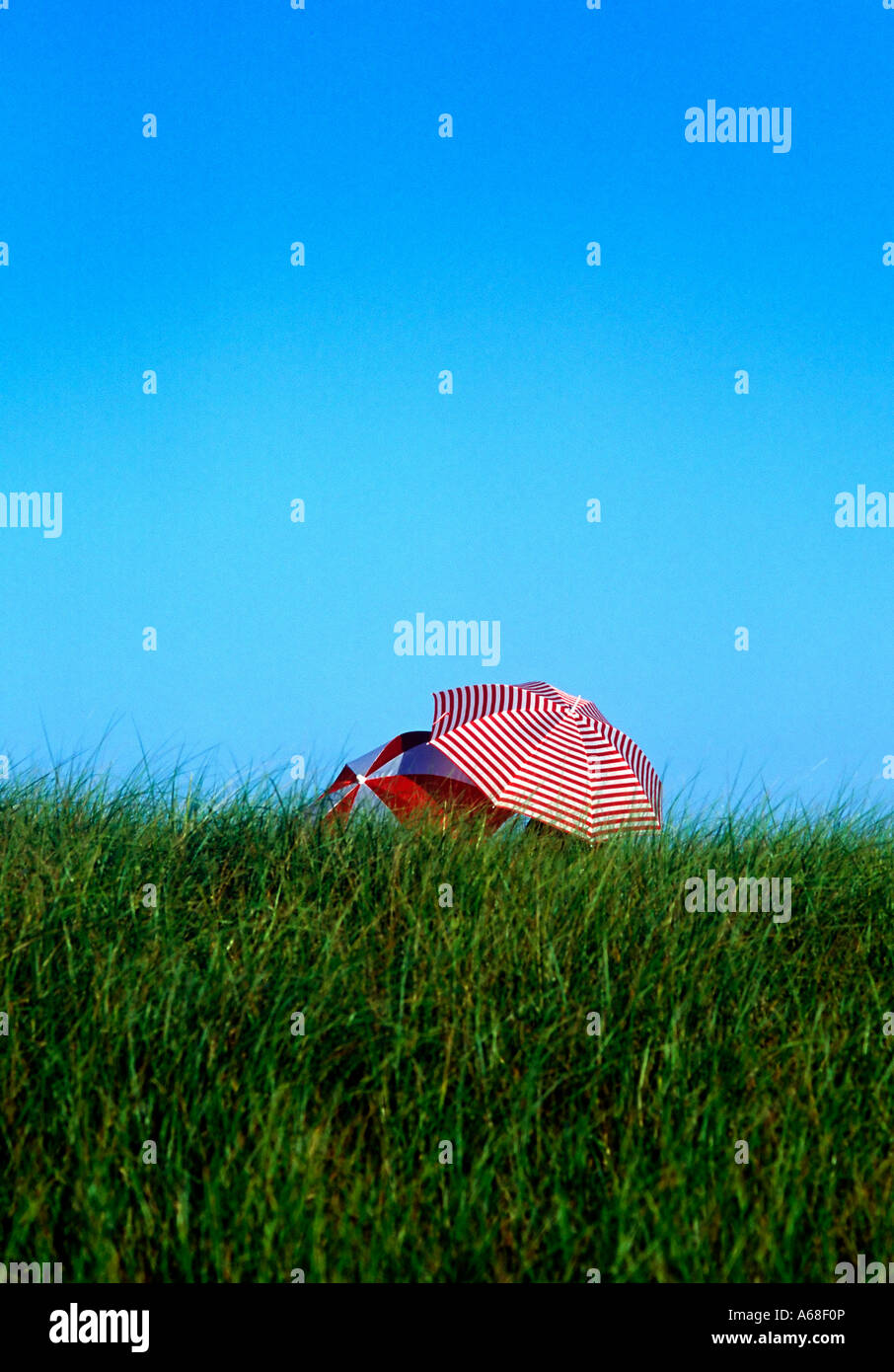 Intimate beach umbrellas dune grass and sky Cape Cod National Seashore ...
