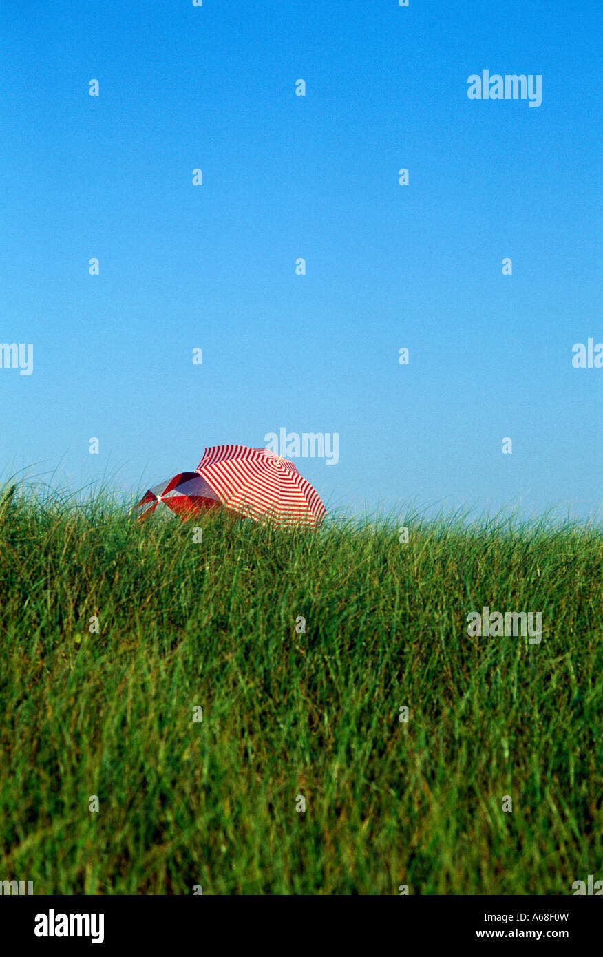 Intimate beach umbrellas dune grass and sky Cape Cod National Seashore ...