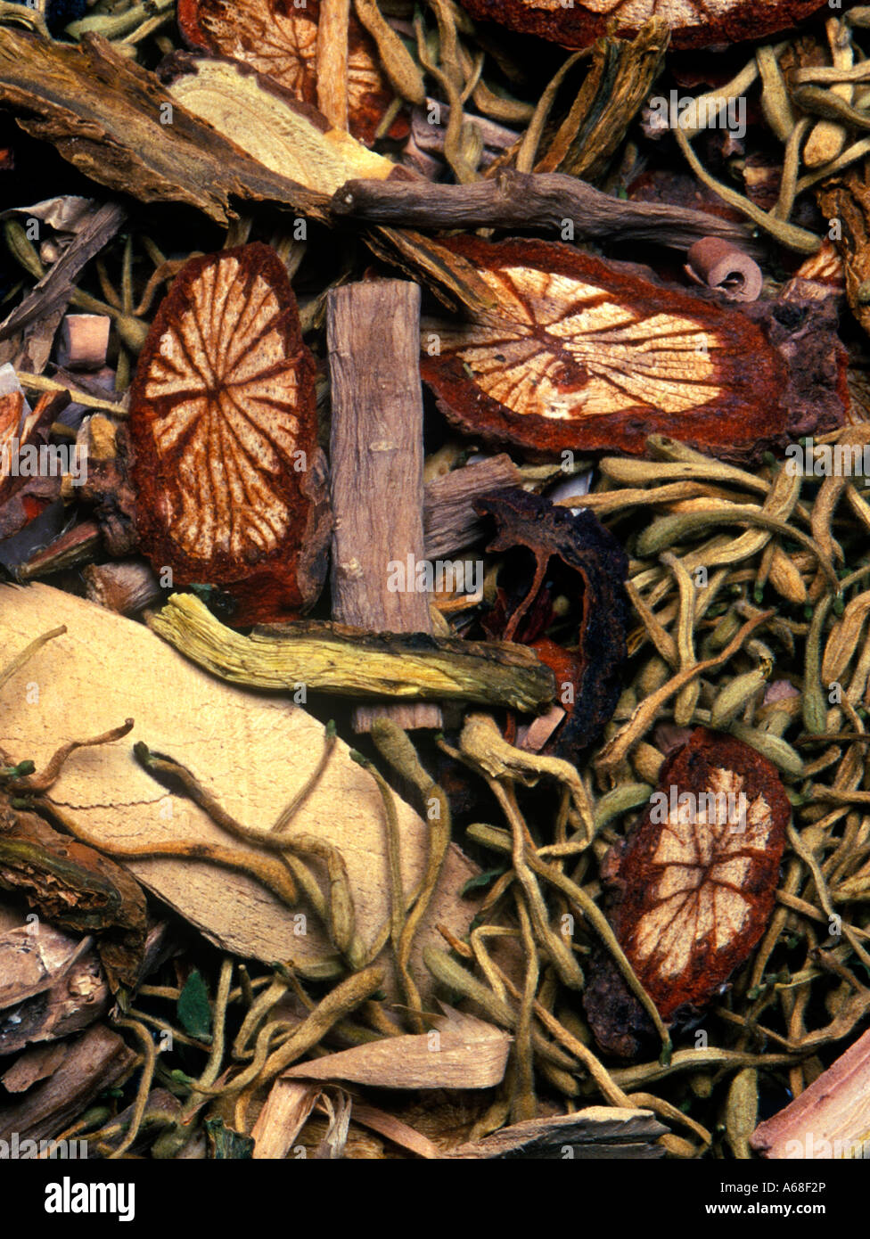 Various roots hi-res stock photography and images - Alamy