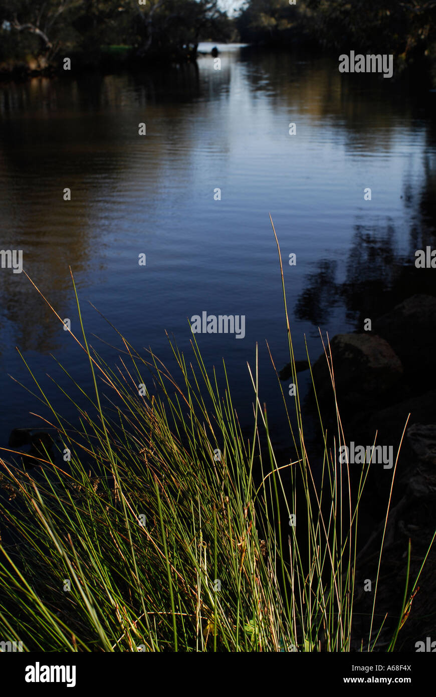 Section of the Swan River, Perth, Western Australia, with banks close ...
