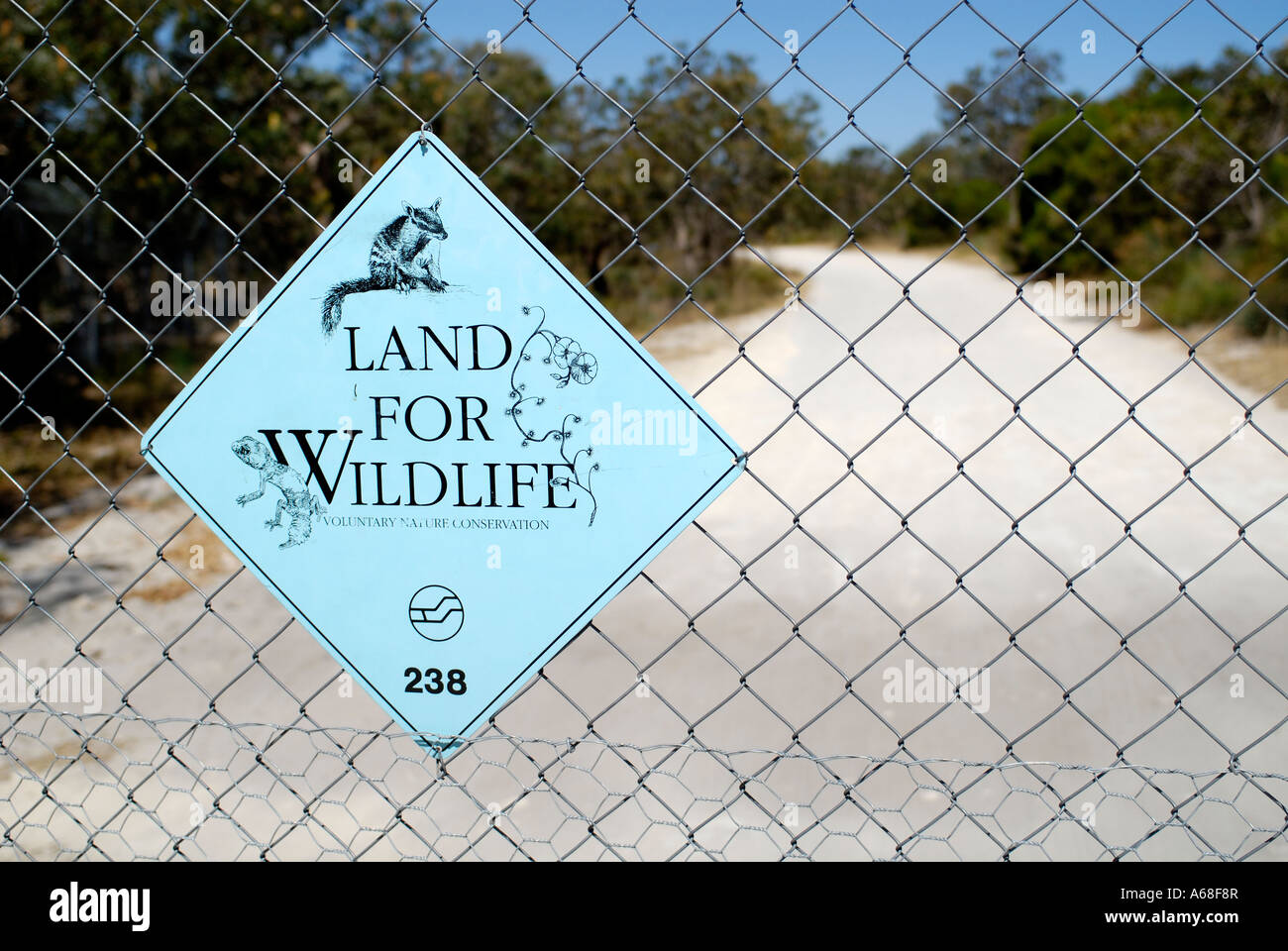 Numbat hi-res stock photography and images - Alamy