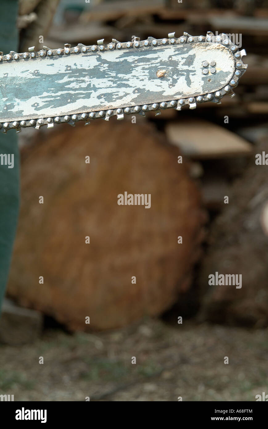 Detail of a chainsaw (continuous band Stock Photo - Alamy