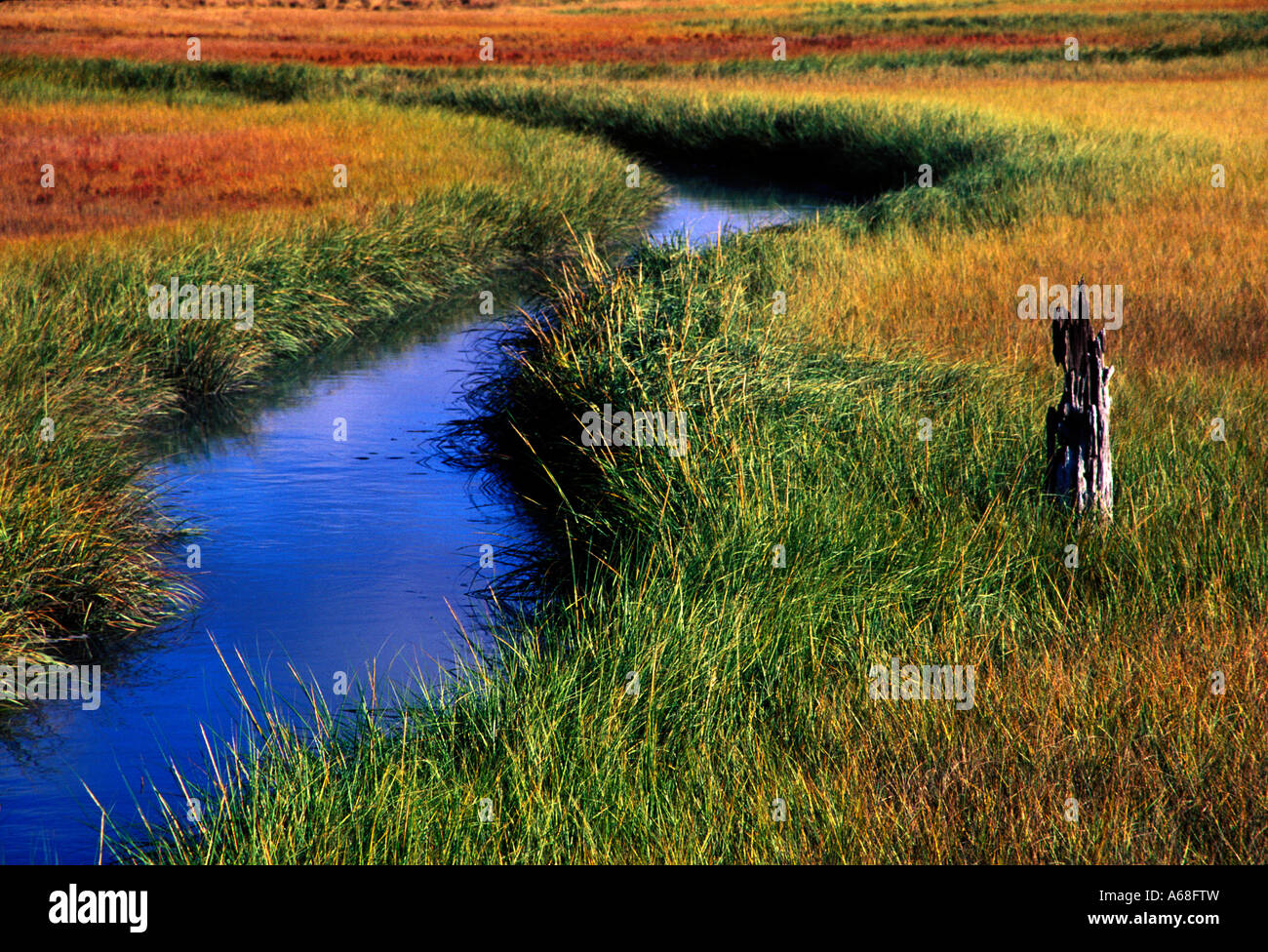 Coastal salt marsh grass and inlet, Eastham, Cape Cod, MA Stock Photo ...