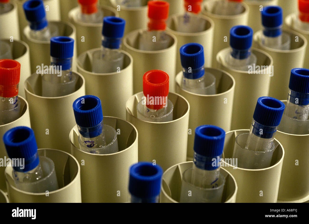 Color coded vials in a research lab Stock Photo - Alamy