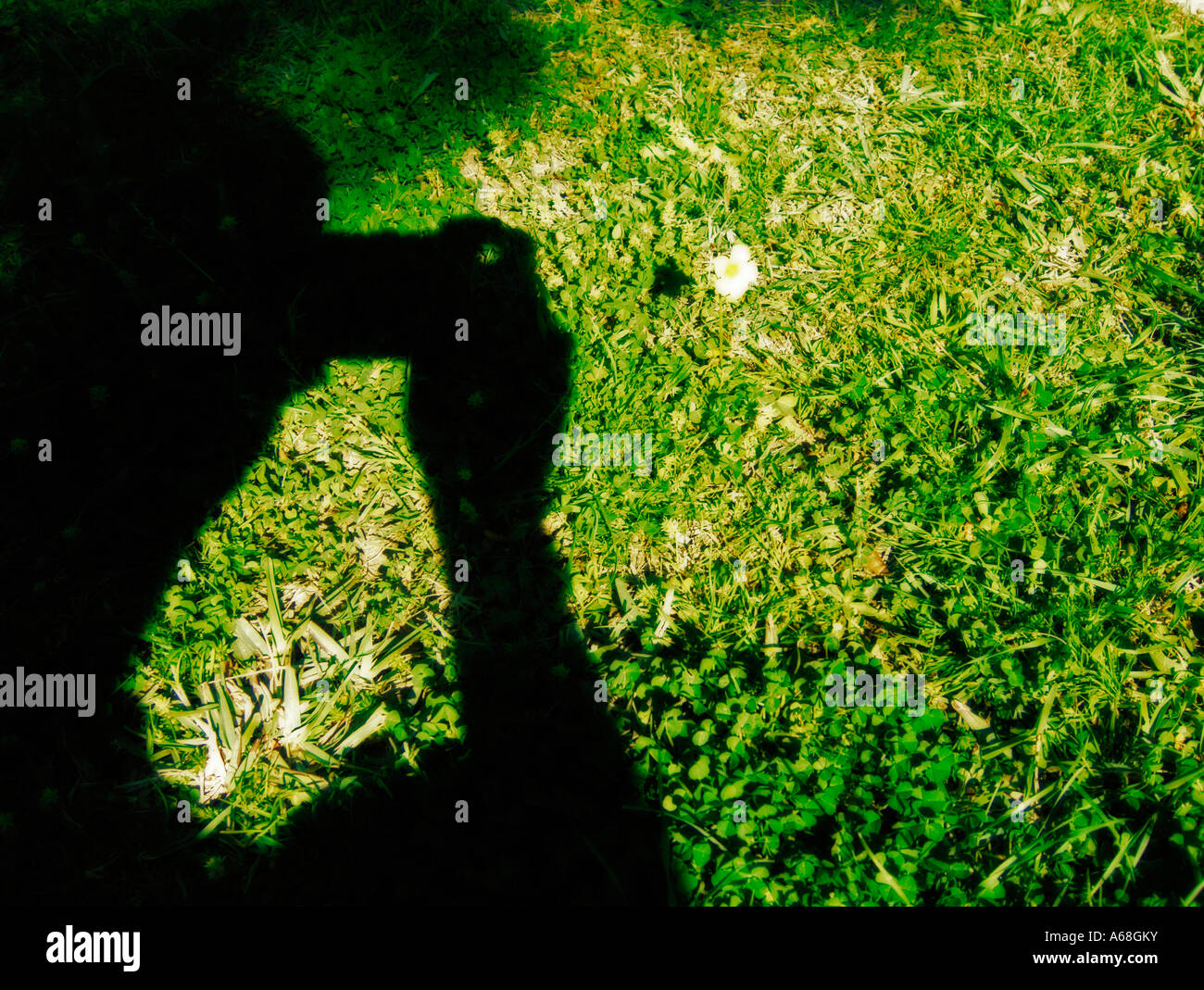 Photographic selfportrait on the ground Stock Photo - Alamy