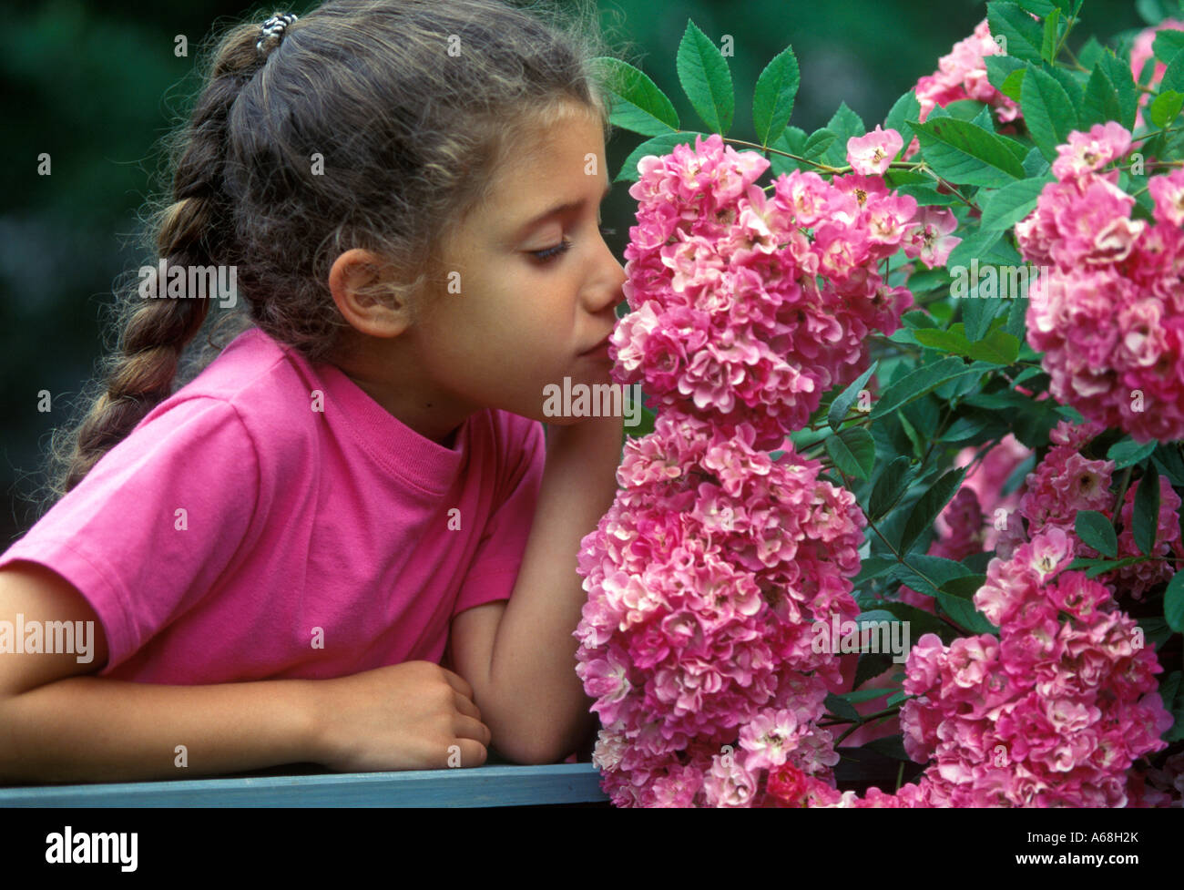 Girl sniffing flowers Stock Photo - Alamy