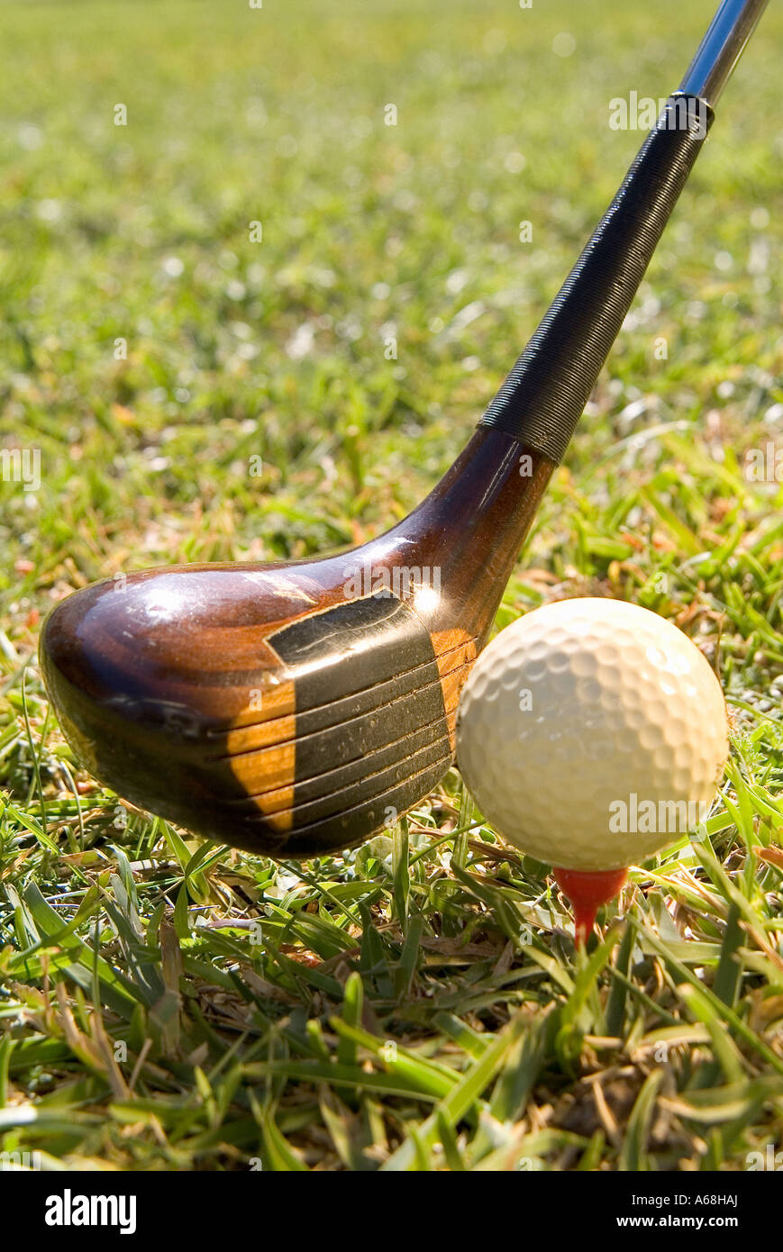 Golf ball and club Stock Photo - Alamy