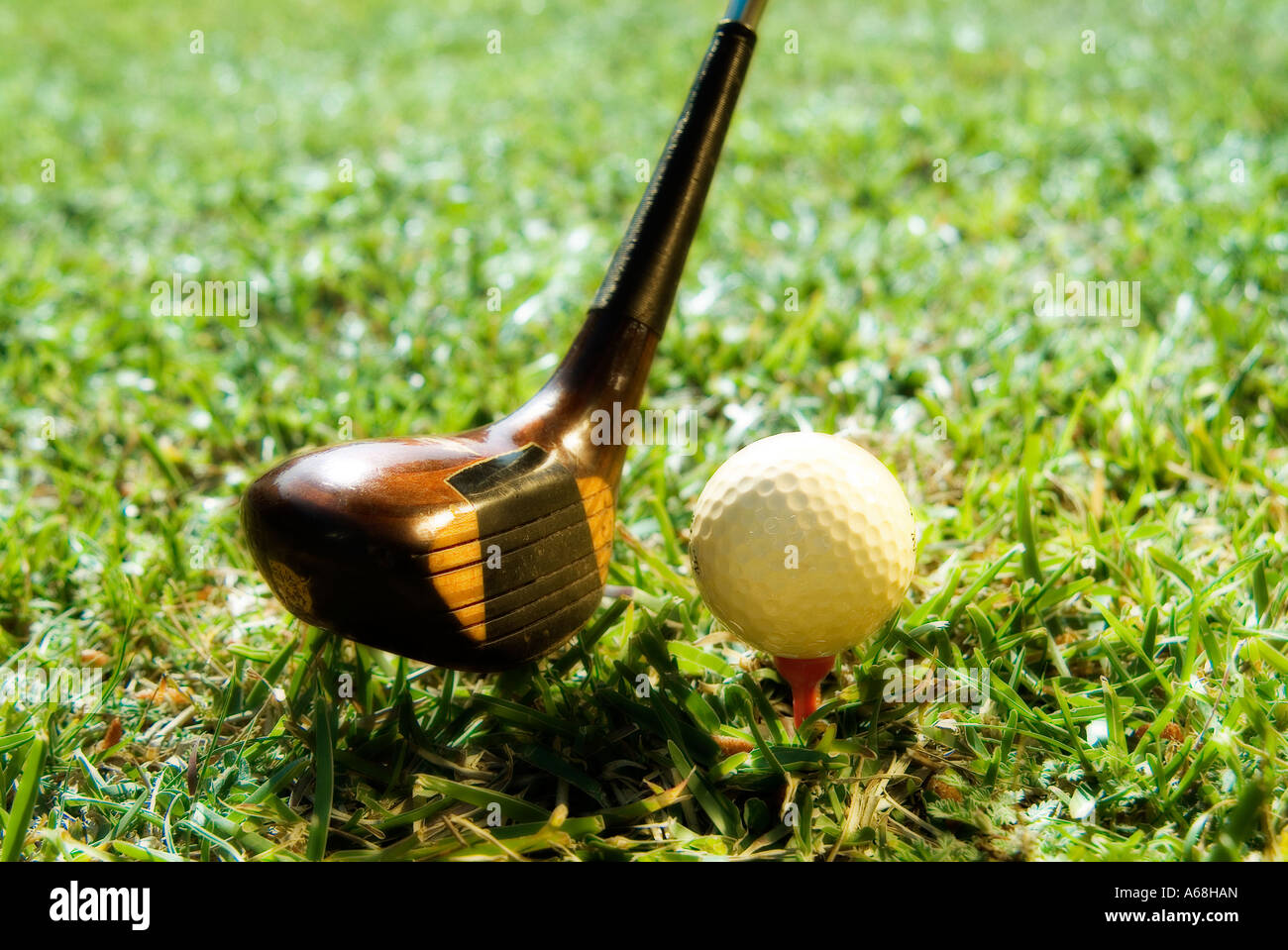 Golf ball and club Stock Photo - Alamy