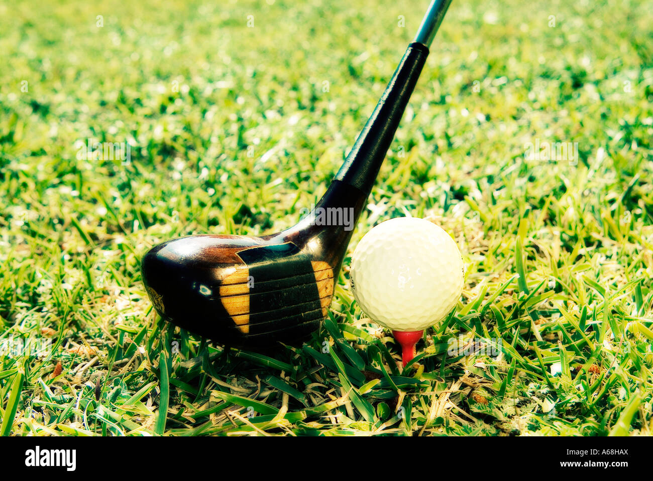Golf ball and club Stock Photo - Alamy