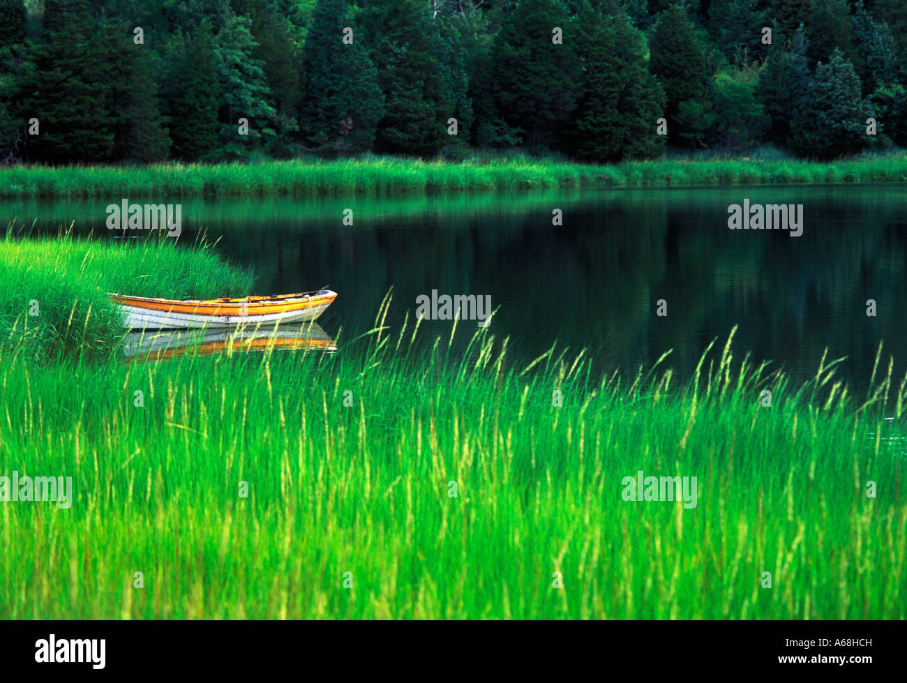 Row boat tied up in marsh grass Mill Pond, Cape Cod Stock Photo - Alamy
