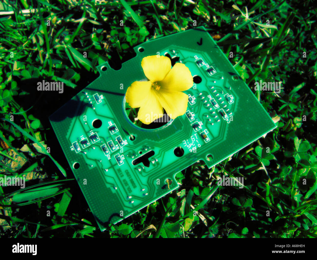 Detail of wild flower with an integrated circuit board on grass Stock ...