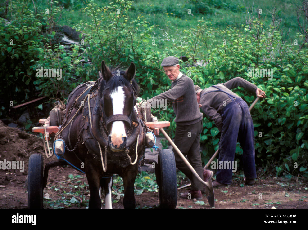 Horse And Cart Ireland High Resolution Stock Photography and Images - Alamy