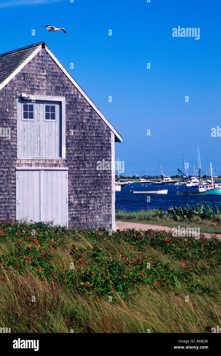 Boat house and Chatham harbor Cape Cod MA Stock Photo - Alamy