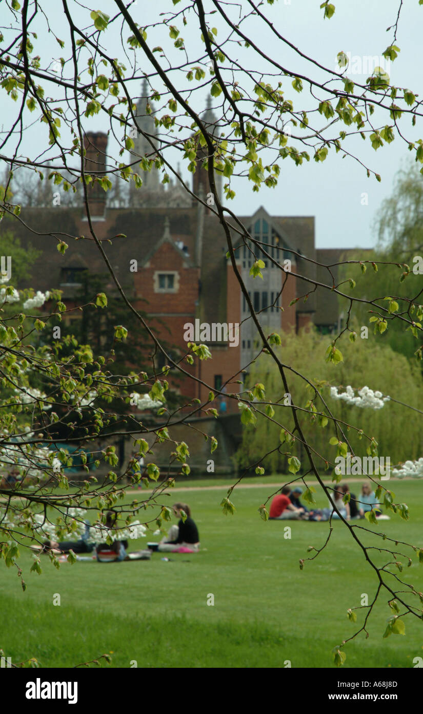 Trinity fields hi-res stock photography and images - Alamy