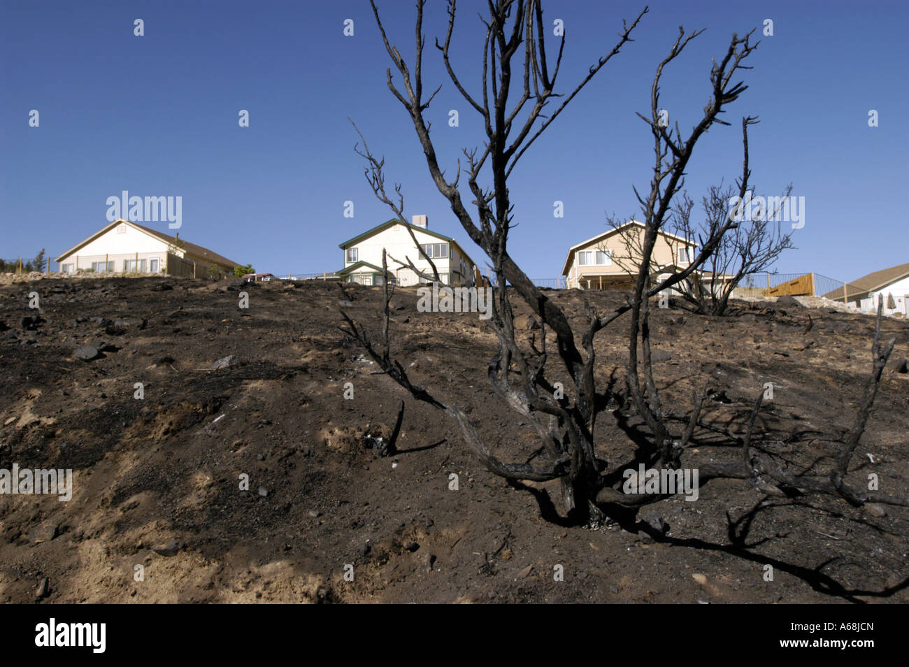 Wildfire burn area hi-res stock photography and images - Alamy