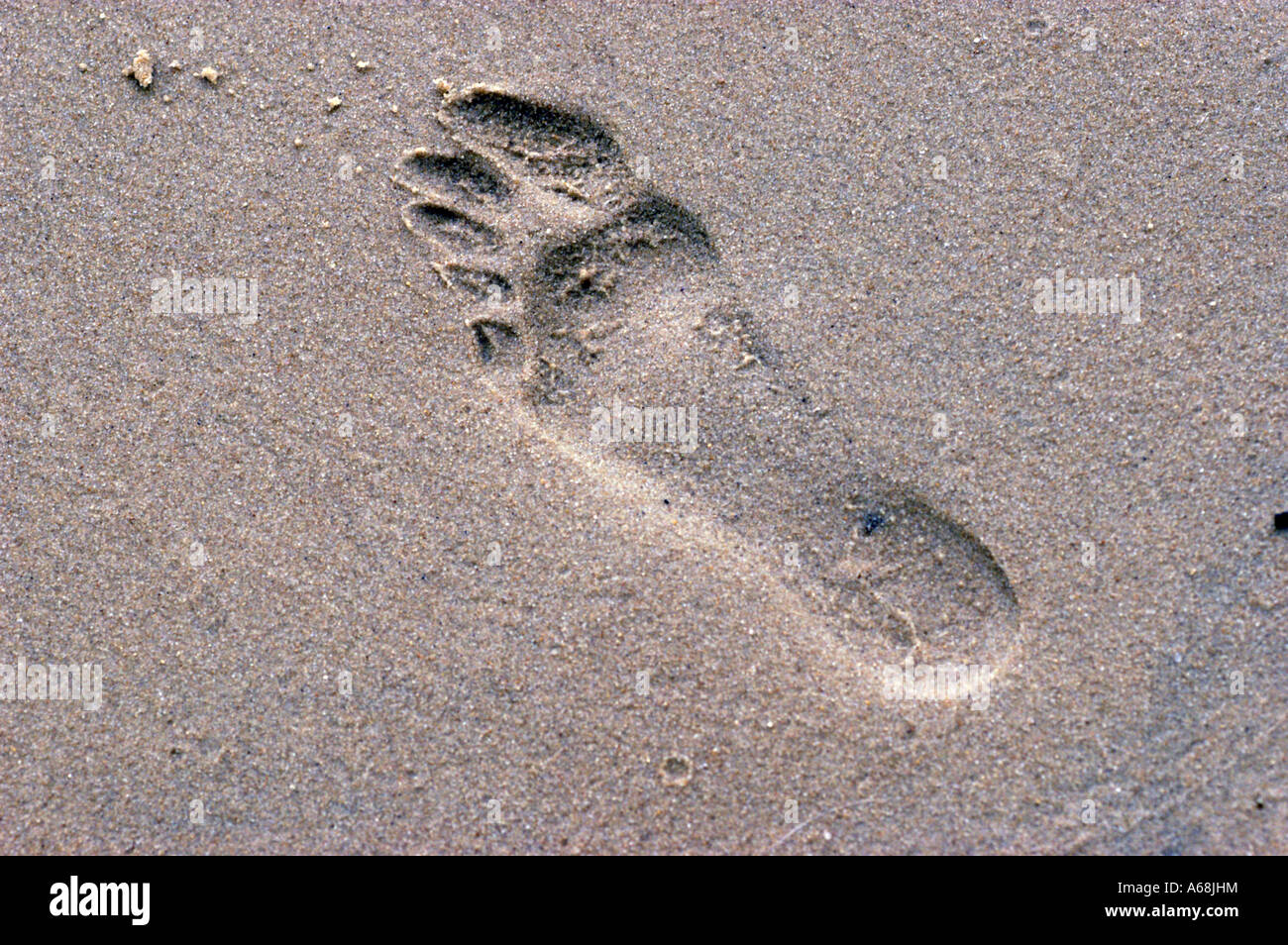 Footprint in sand Stock Photo - Alamy