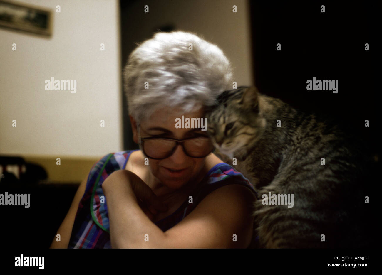 A senior woman with cat Stock Photo - Alamy
