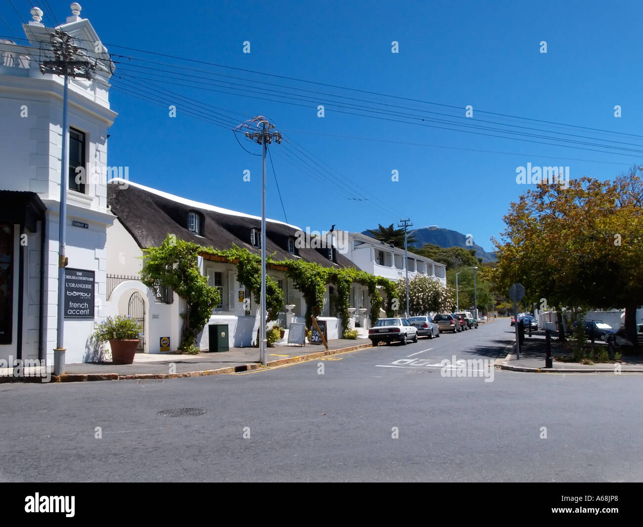 View of a street in little Chelsea a suburb of Constantia Capetown ...