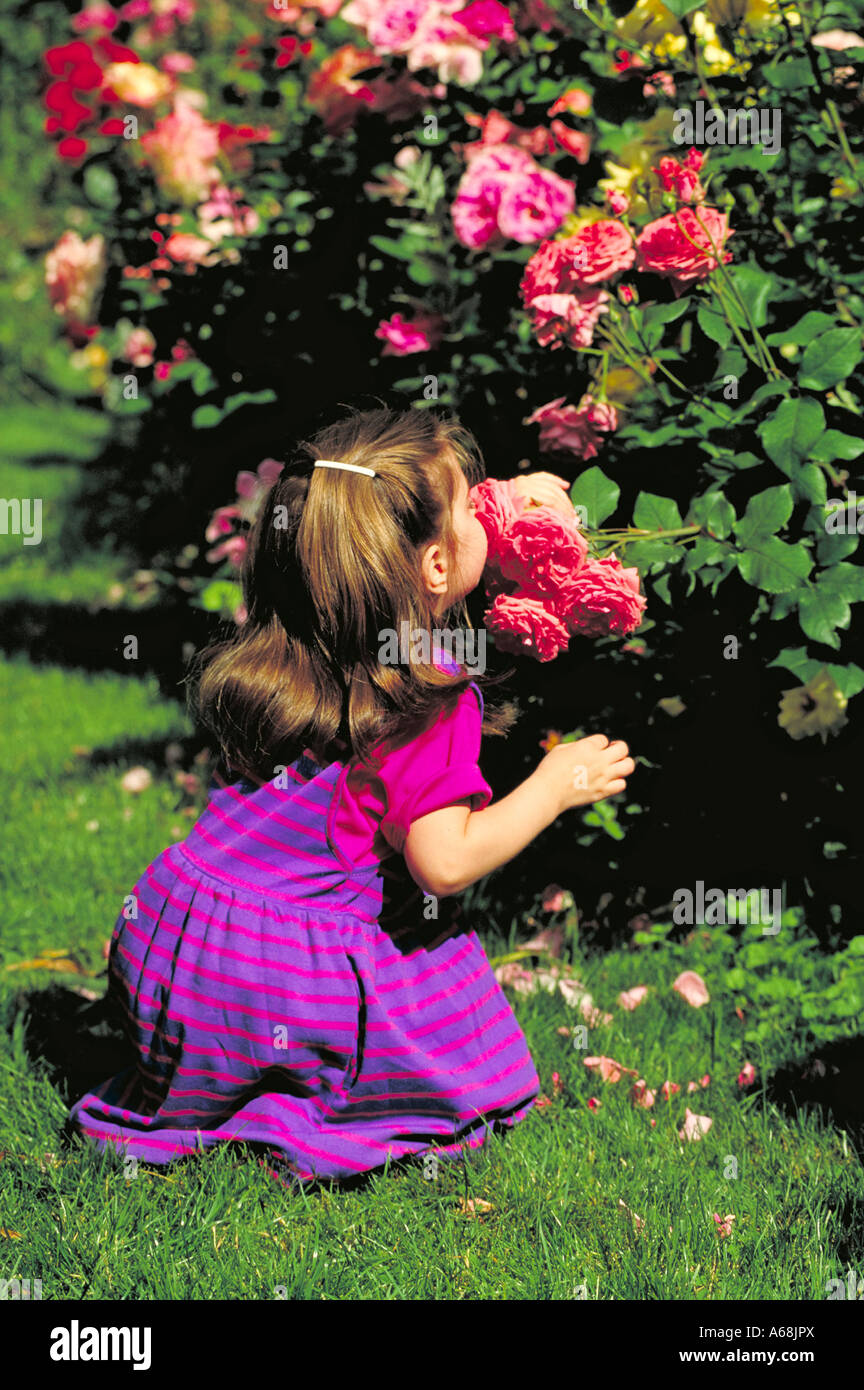 GIRL 4 YEARS OLD SMELLING ROSES Stock Photo - Alamy