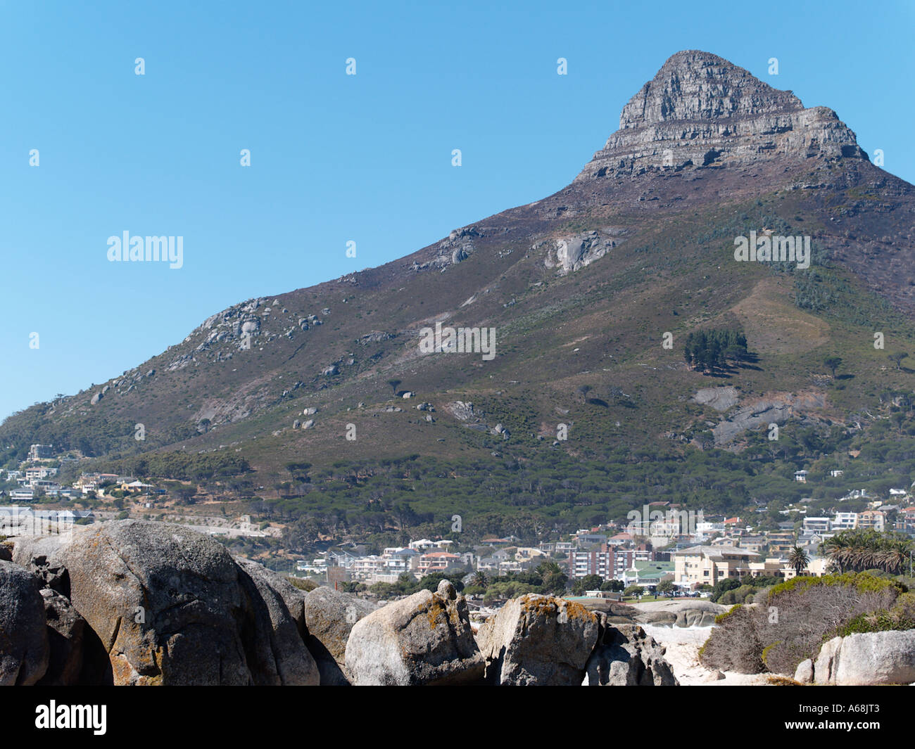 Lions view hi-res stock photography and images - Alamy