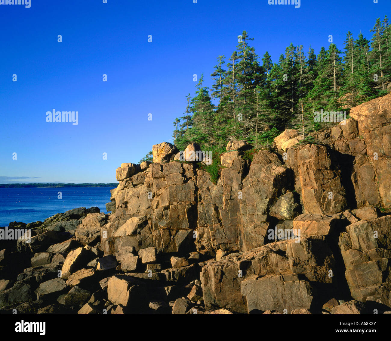 Rocky coastline Mt Desert Island Acadia Maine Stock Photo - Alamy