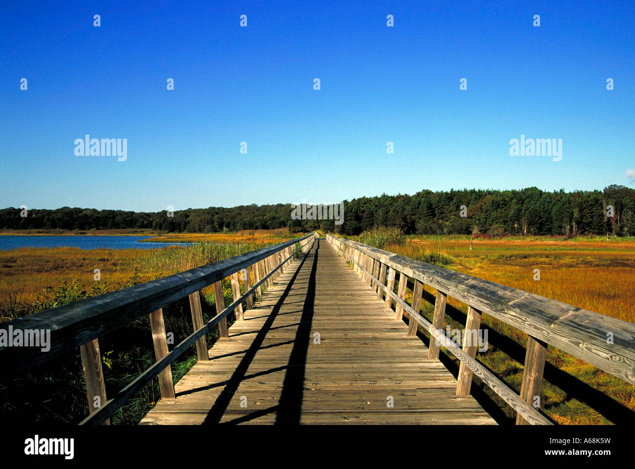 Walking bridge through water and marsh grass Stock Photo - Alamy