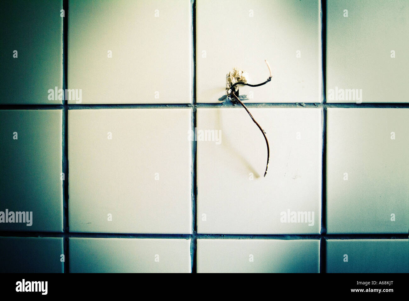 A wall under construction with electrical line Stock Photo - Alamy