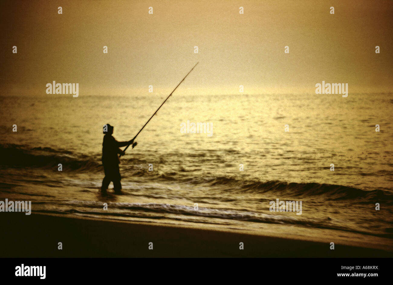 Man surf fishing Cape Cod MA Stock Photo - Alamy