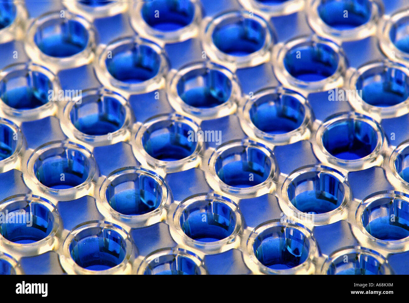 Research tray with blue liquid Stock Photo - Alamy