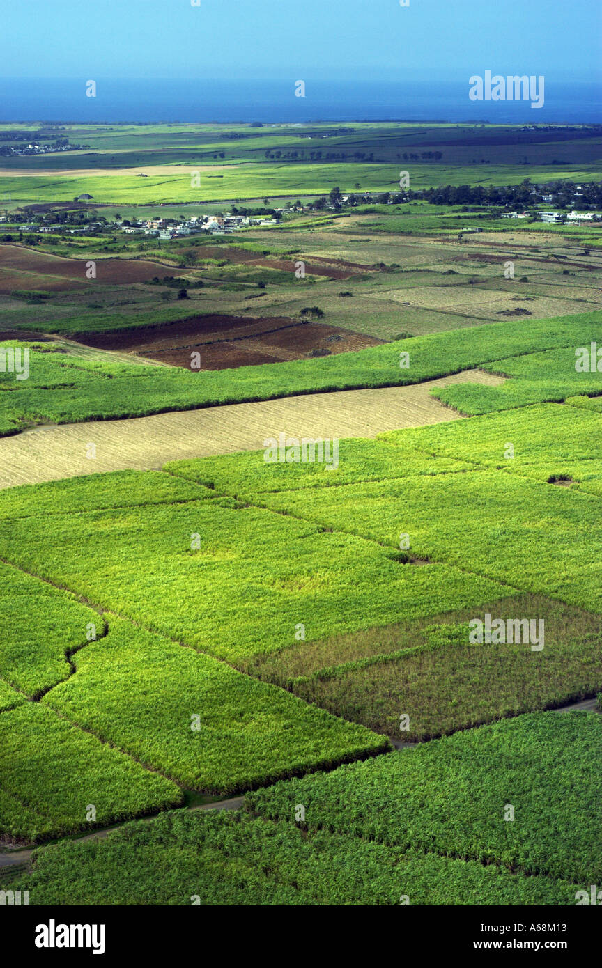aerial view of sugar cane fields Stock Photo - Alamy