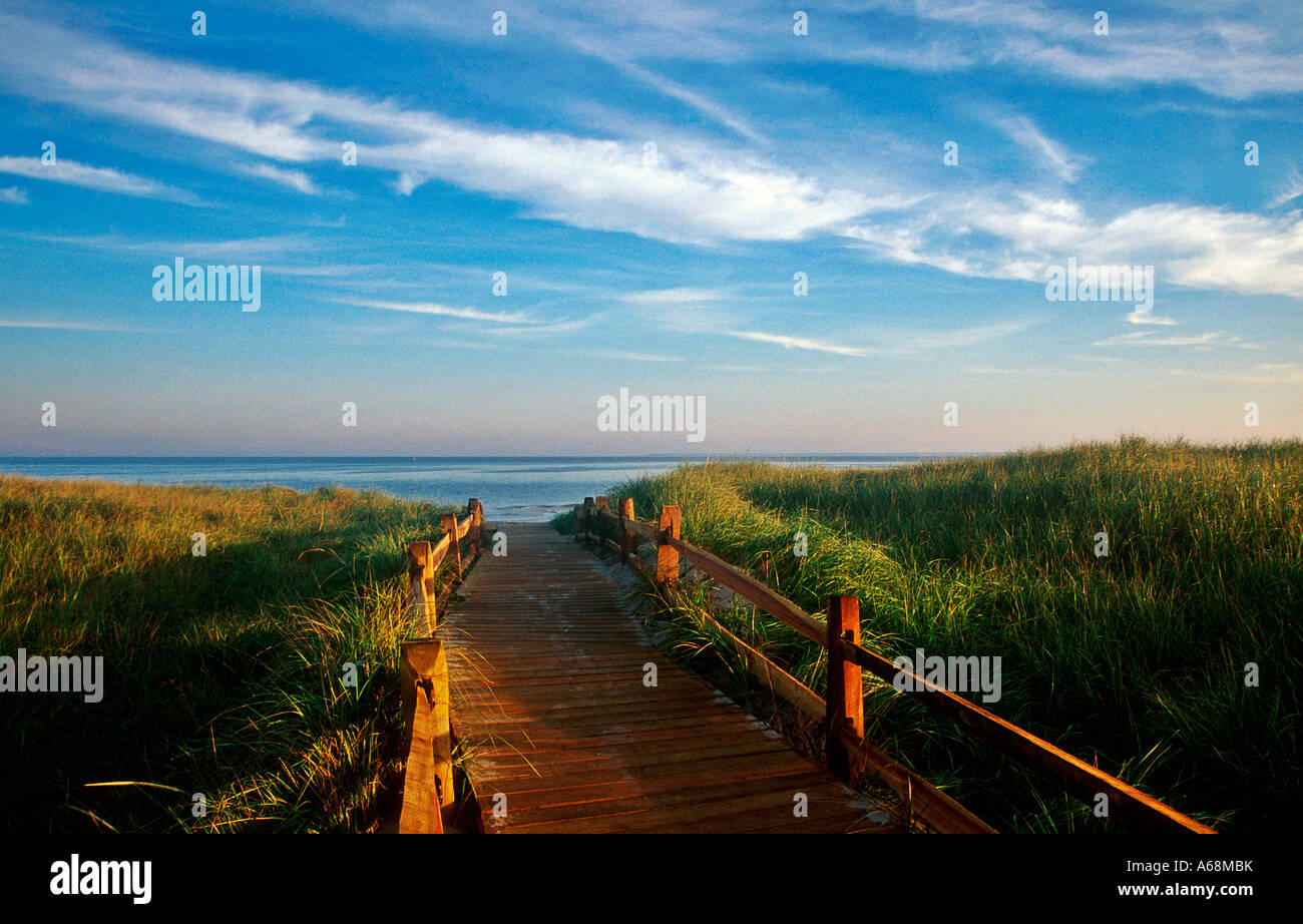 Walkway through dune grass to the beach Brewster Cape Cod Stock Photo ...