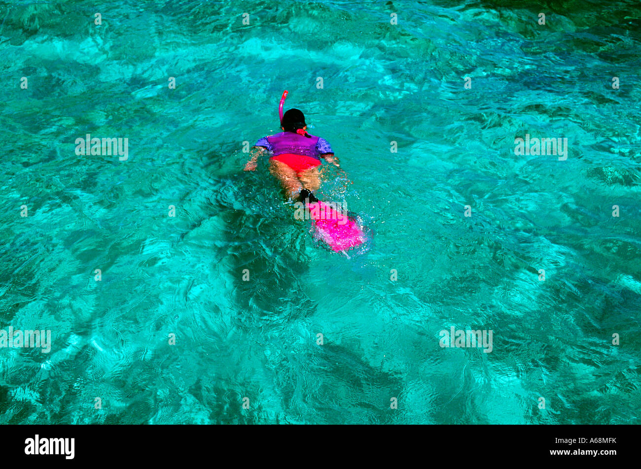 Snorkeling Ambergris Caye Belize Stock Photo - Alamy