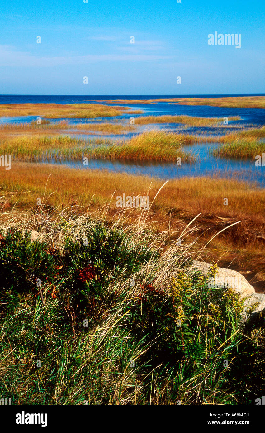 Marsh grass and inlets on the bay side Yarmouth Cape Cod Stock Photo ...