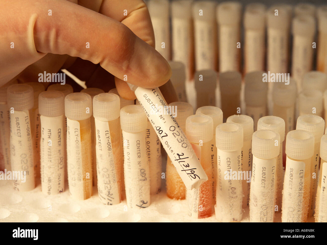 Frozen blood samples used in research study Stock Photo - Alamy
