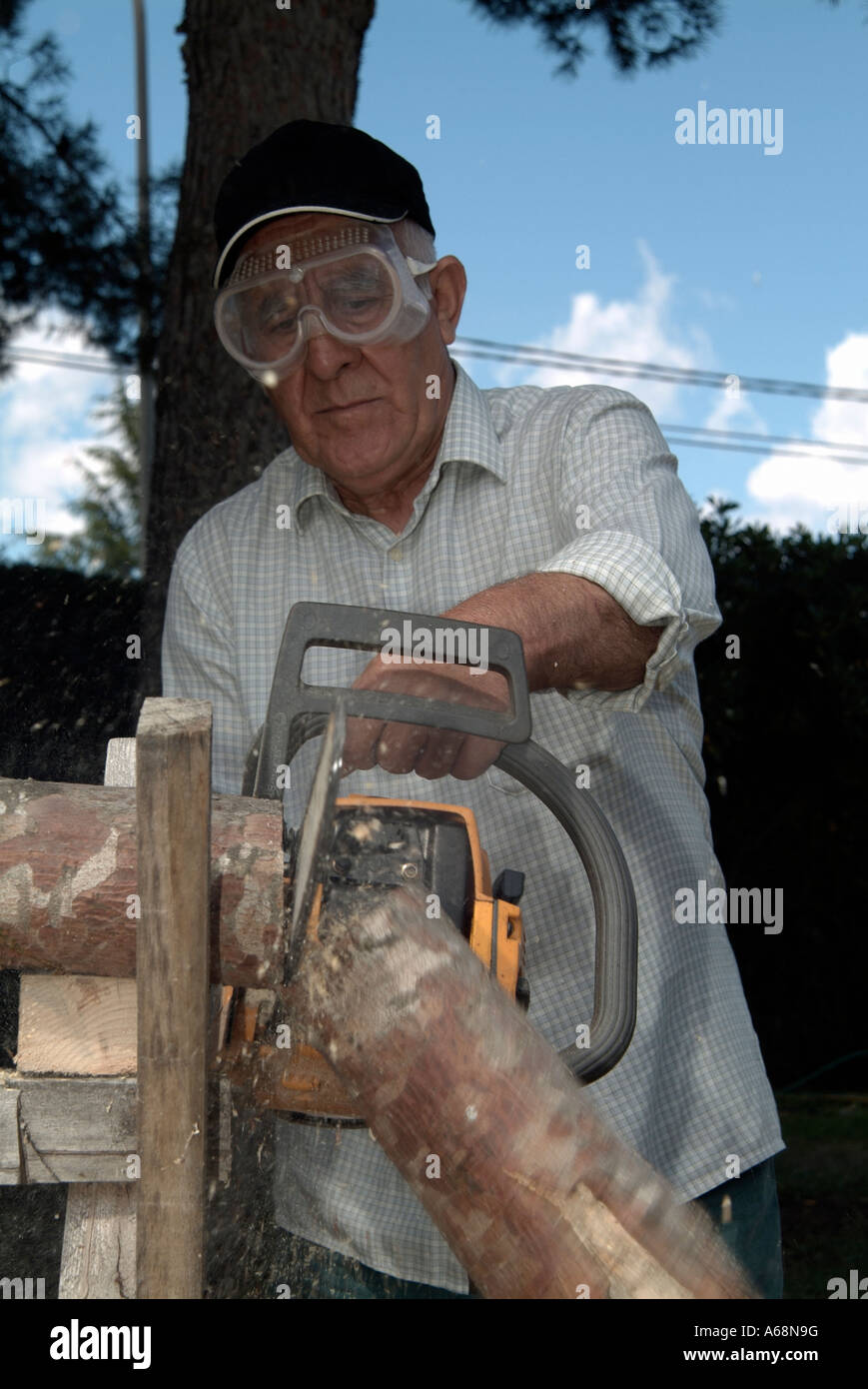 Woodcutter at work, cutting a tree trunks and branches with a chainsaw ...