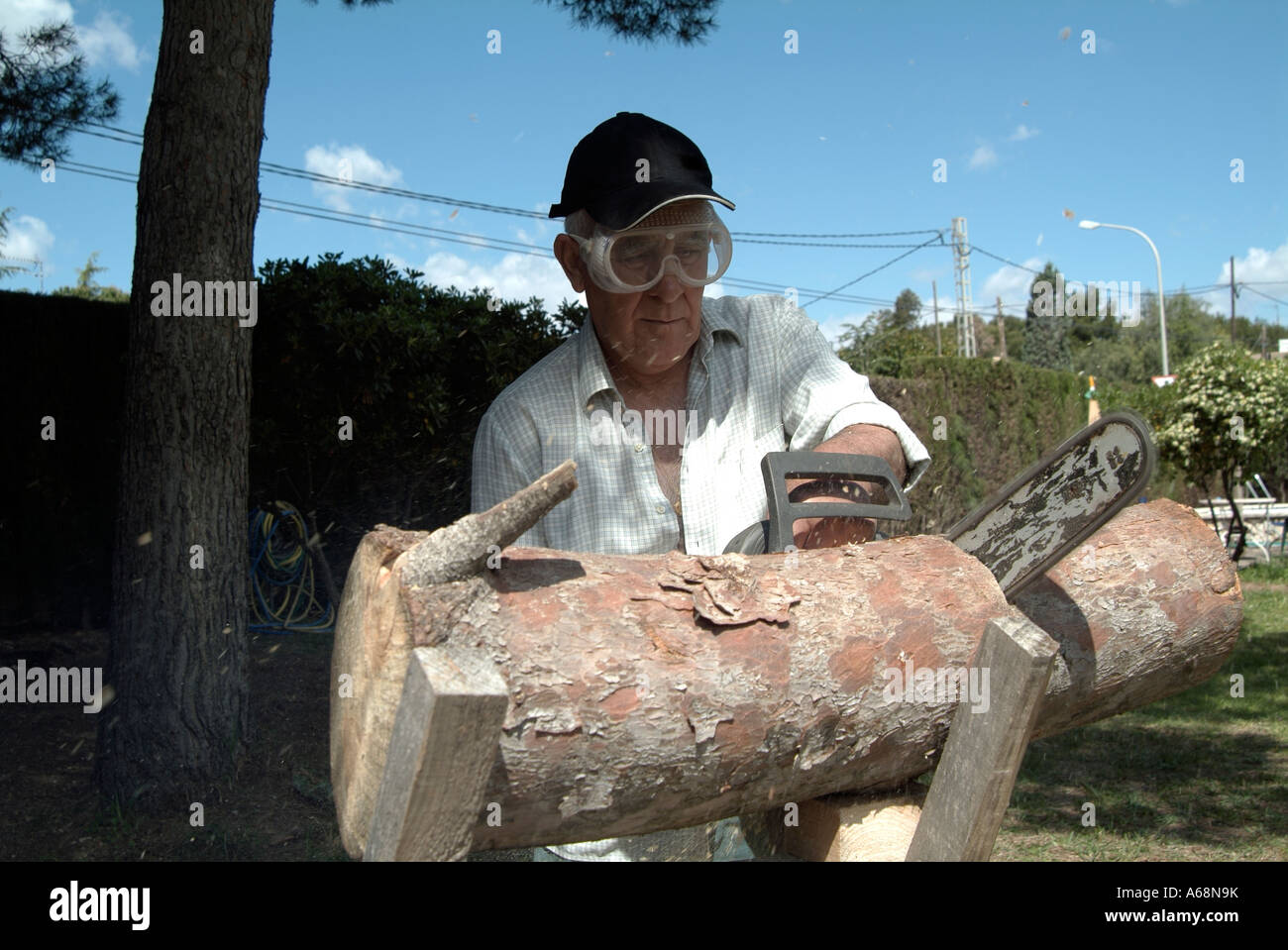 Woodcutter at work, cutting a tree trunks and branches with a chainsaw ...