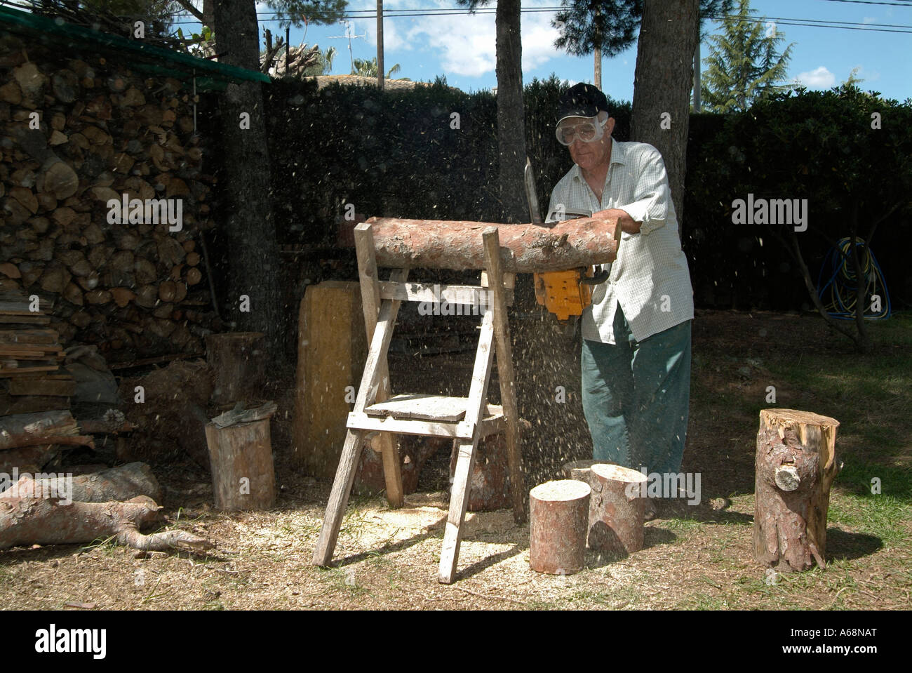 Woodcutter at work, cutting a tree trunks and branches with a chainsaw ...