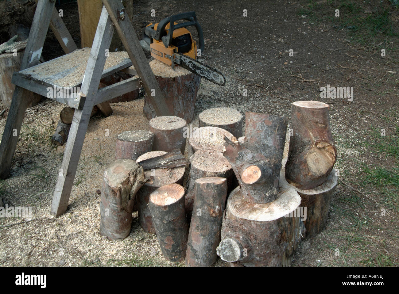 Woodcutter at work, cutting a tree trunks and branches with a chainsaw ...
