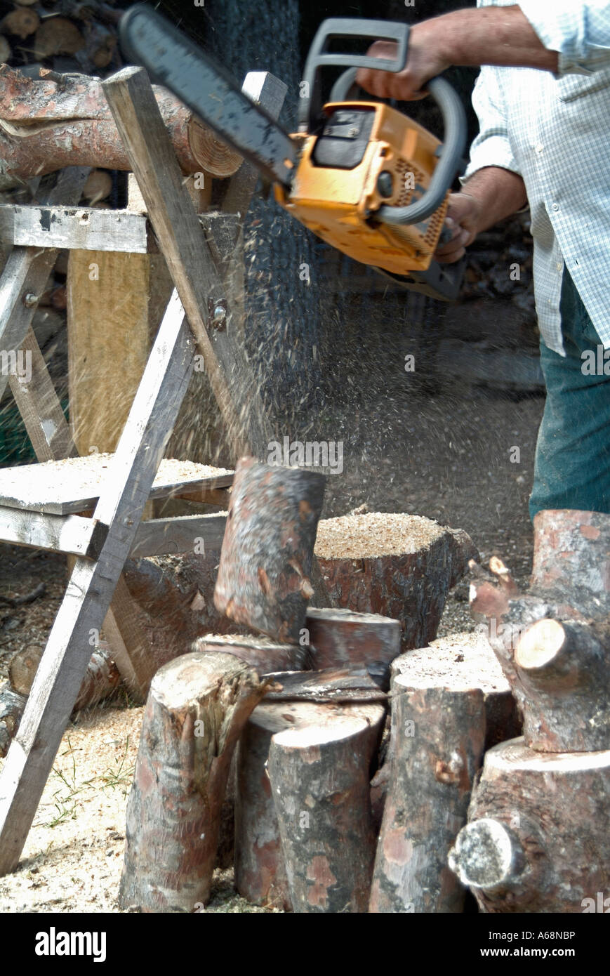 Woodcutter at work, cutting a tree trunks and branches with a chainsaw ...