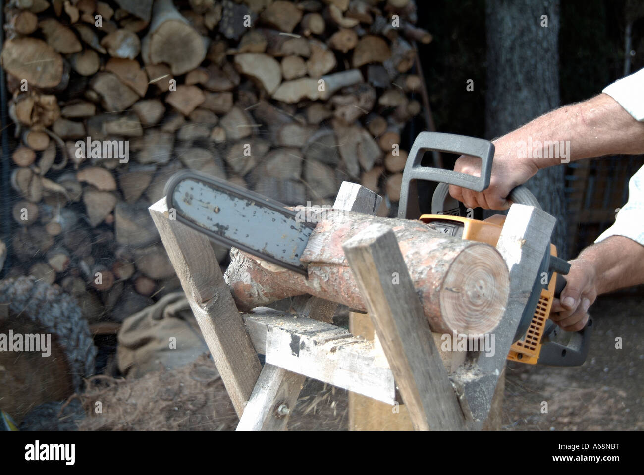 Woodcutter at work, cutting a tree trunks and branches with a chainsaw ...
