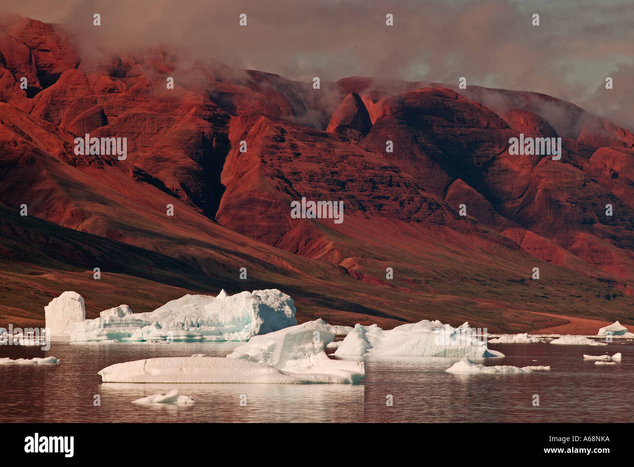 Red Fjord, Scoresbysund, East Greenland icebergs and red sandstone ...