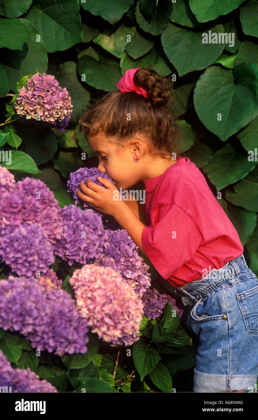 Little girl sniffing flowers Stock Photo - Alamy