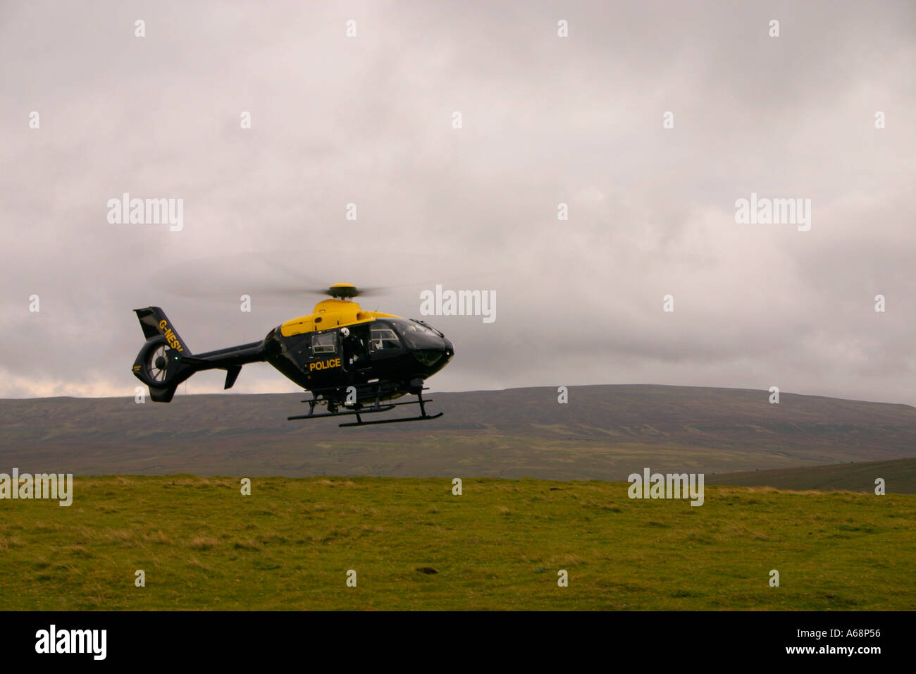 Helicopter cow hi-res stock photography and images - Alamy