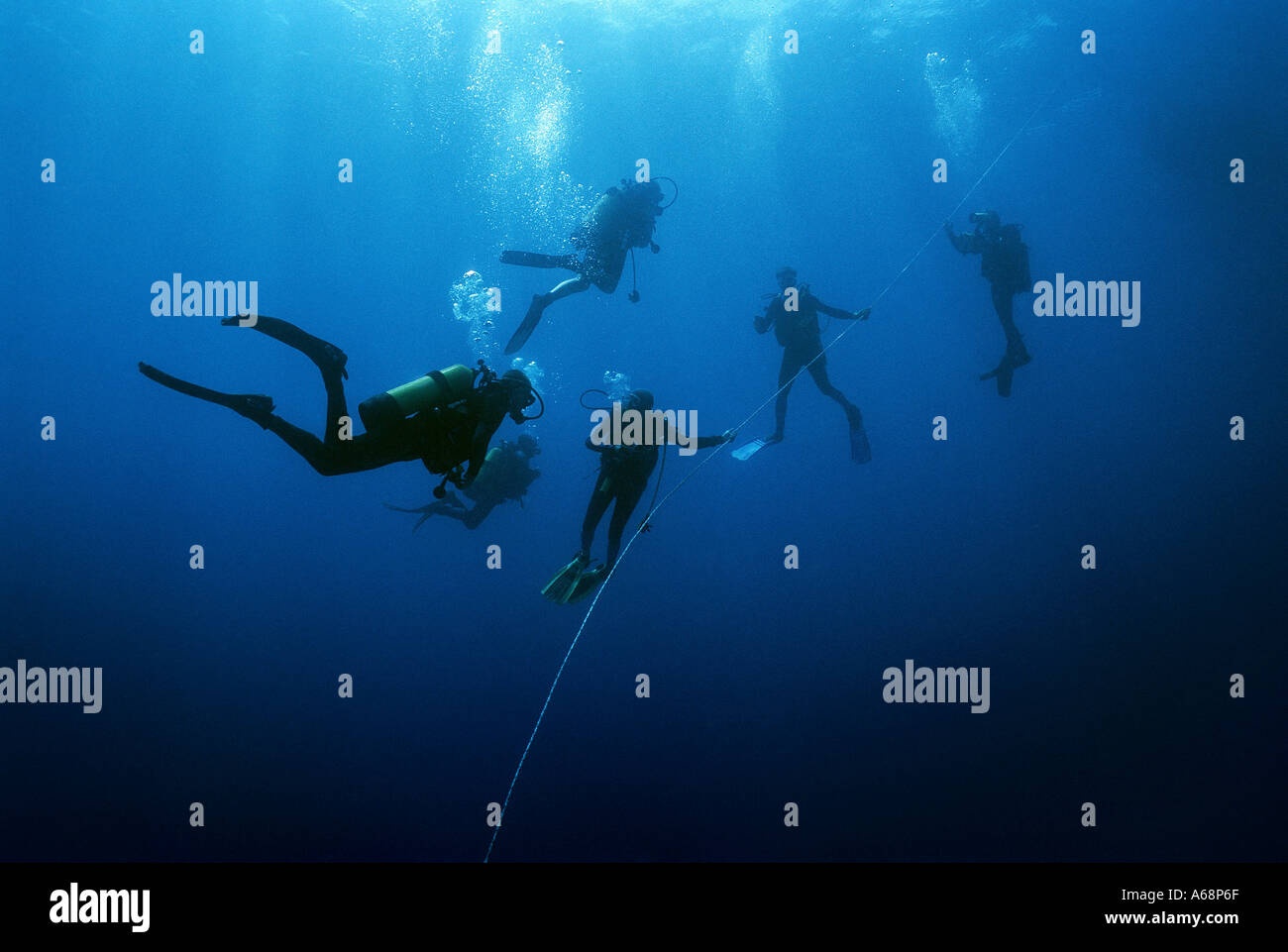 scuba divers near the surface at deco stop Stock Photo - Alamy