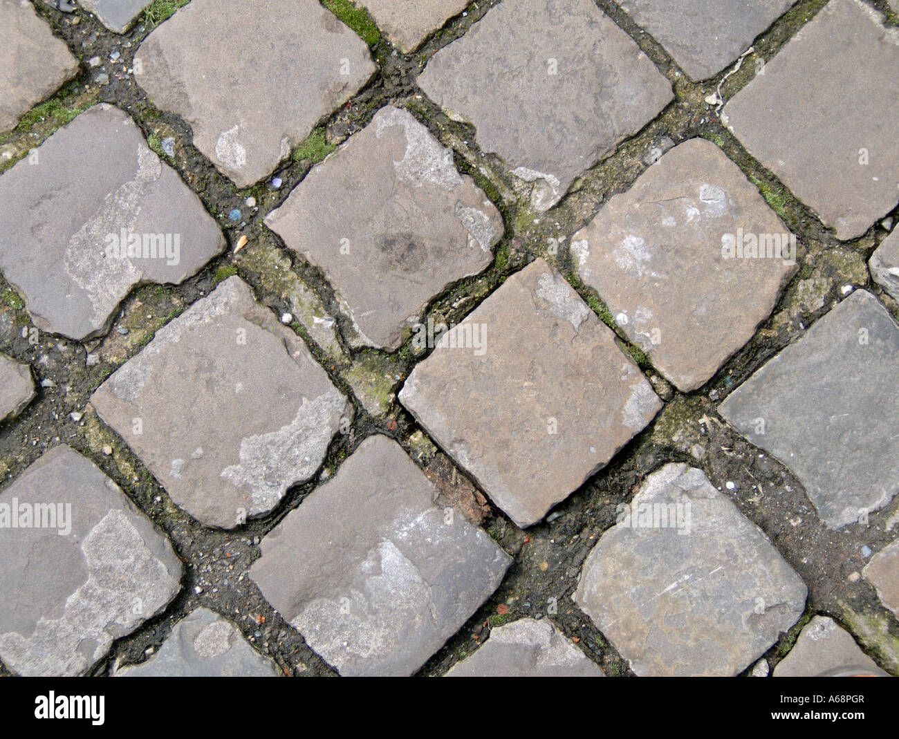 Close up of paving stone. Charleroi. Hainaut, Wallonia. Belgium Stock ...